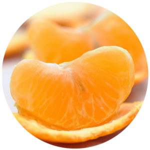 Global Trade and Distribution Co.,Ltd. | Thailand’s fruit importers ...